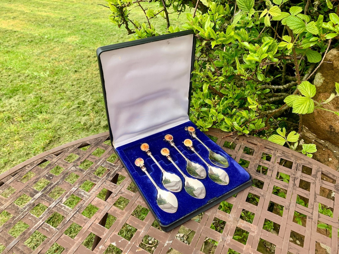 Vintage Box Set of 6 Silver Plated Rare and Collectible Teaspoons ...