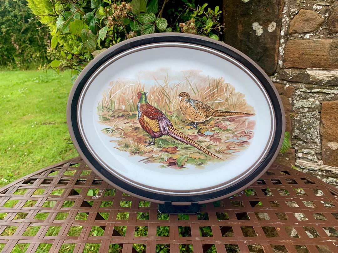 Vintage Lancaster Hornsea Pheasant Platter, Decorative Ceramic Tray - Etsy