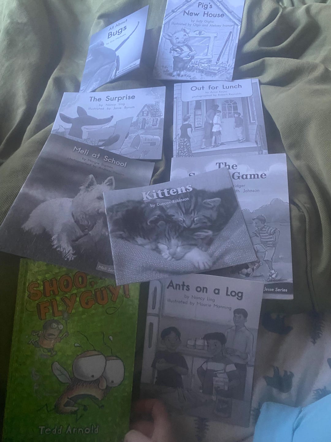 FOUNTAS & Pinnell Leveled Literacy Leveled 9 Reading Books Read Along ...