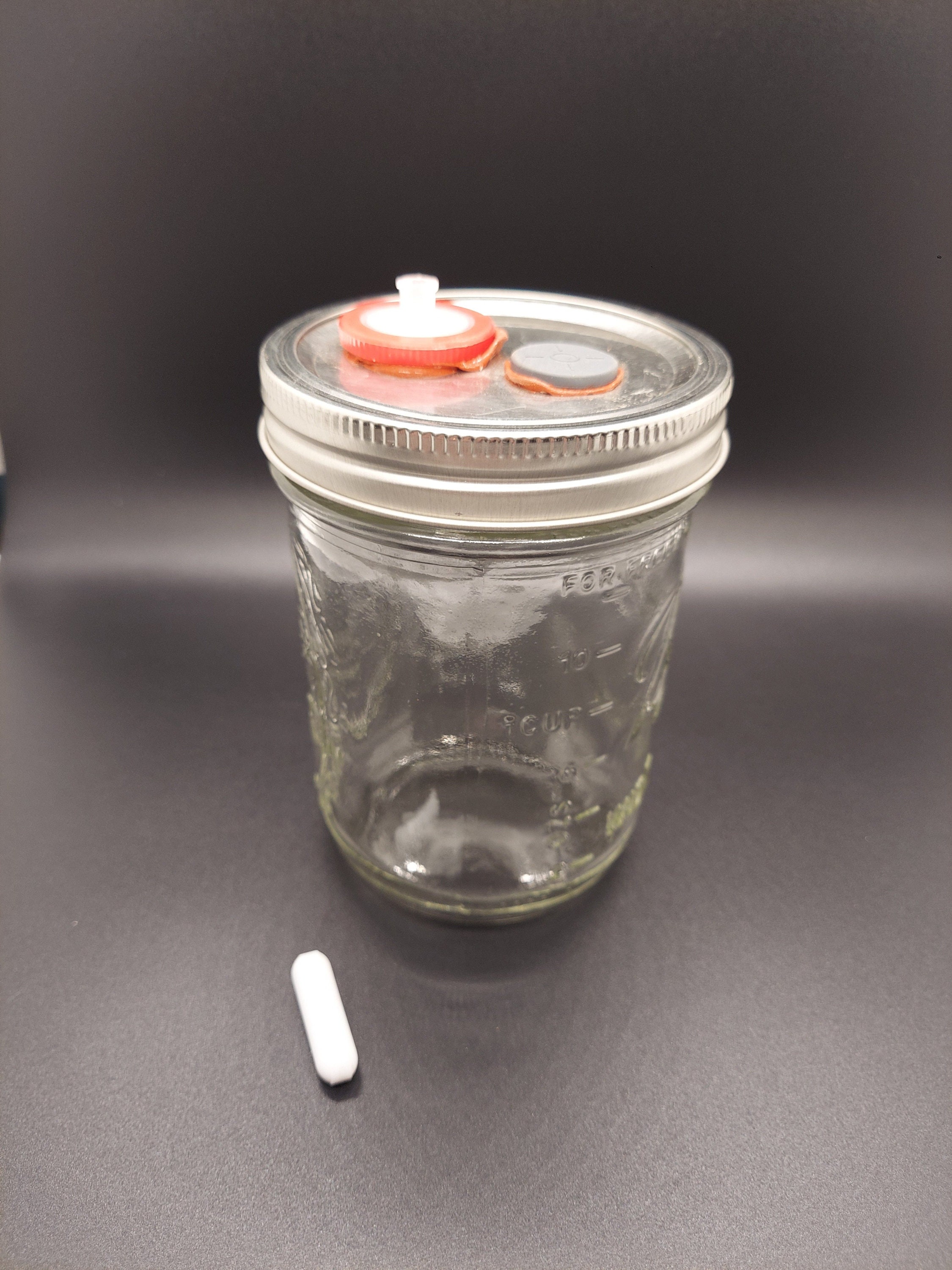 Empty Liquid Culture Jar With 20mm Injection Port and .2 - Etsy