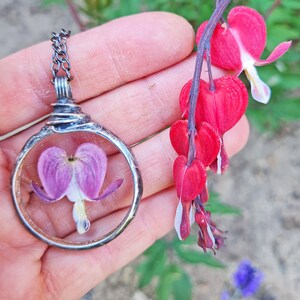 Bleeding Heart Necklace, Pressed Dried Flower. Terrarium Necklace ...