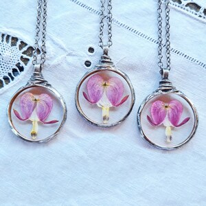 Bleeding Heart Necklace, Pressed Dried Flower. Terrarium Necklace ...