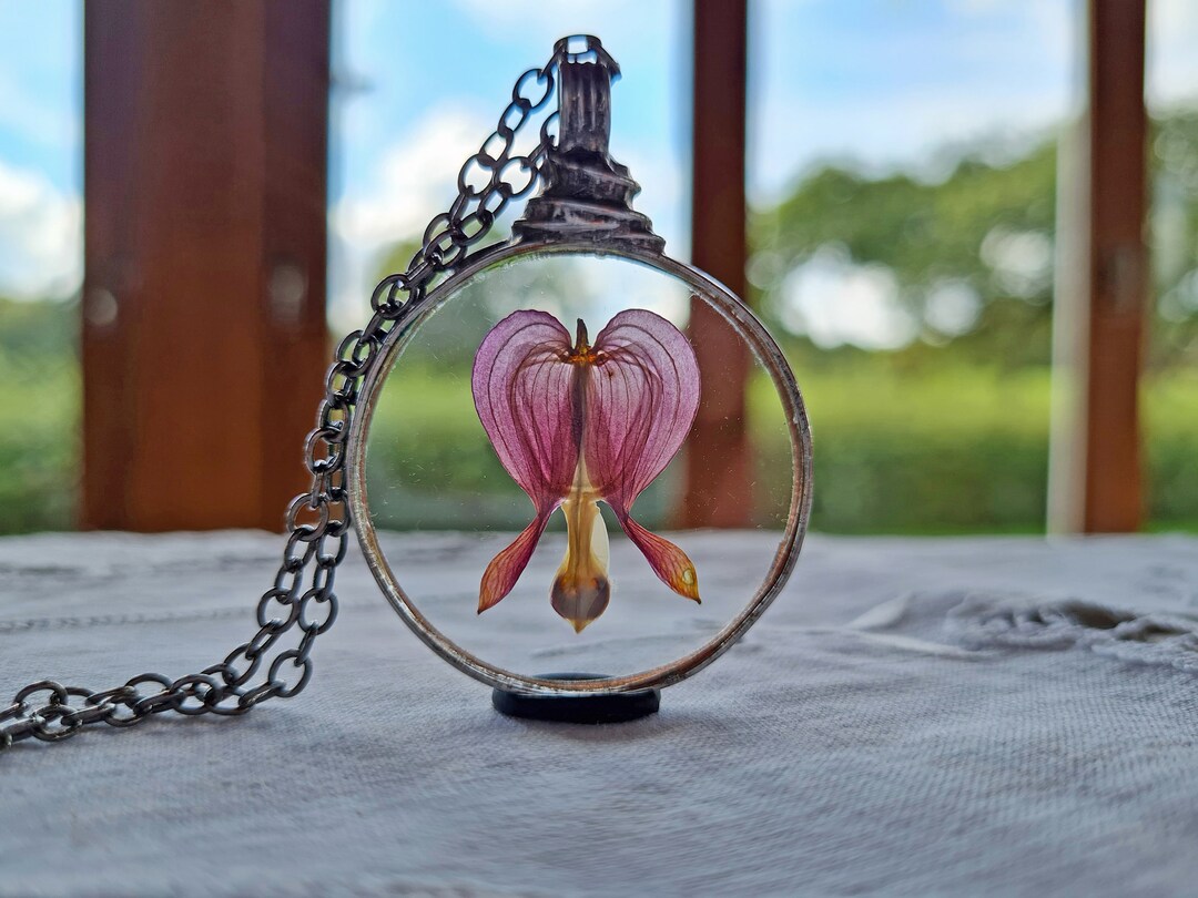 Bleeding Heart Necklace Pressed Dried Flower. Terrarium - Etsy