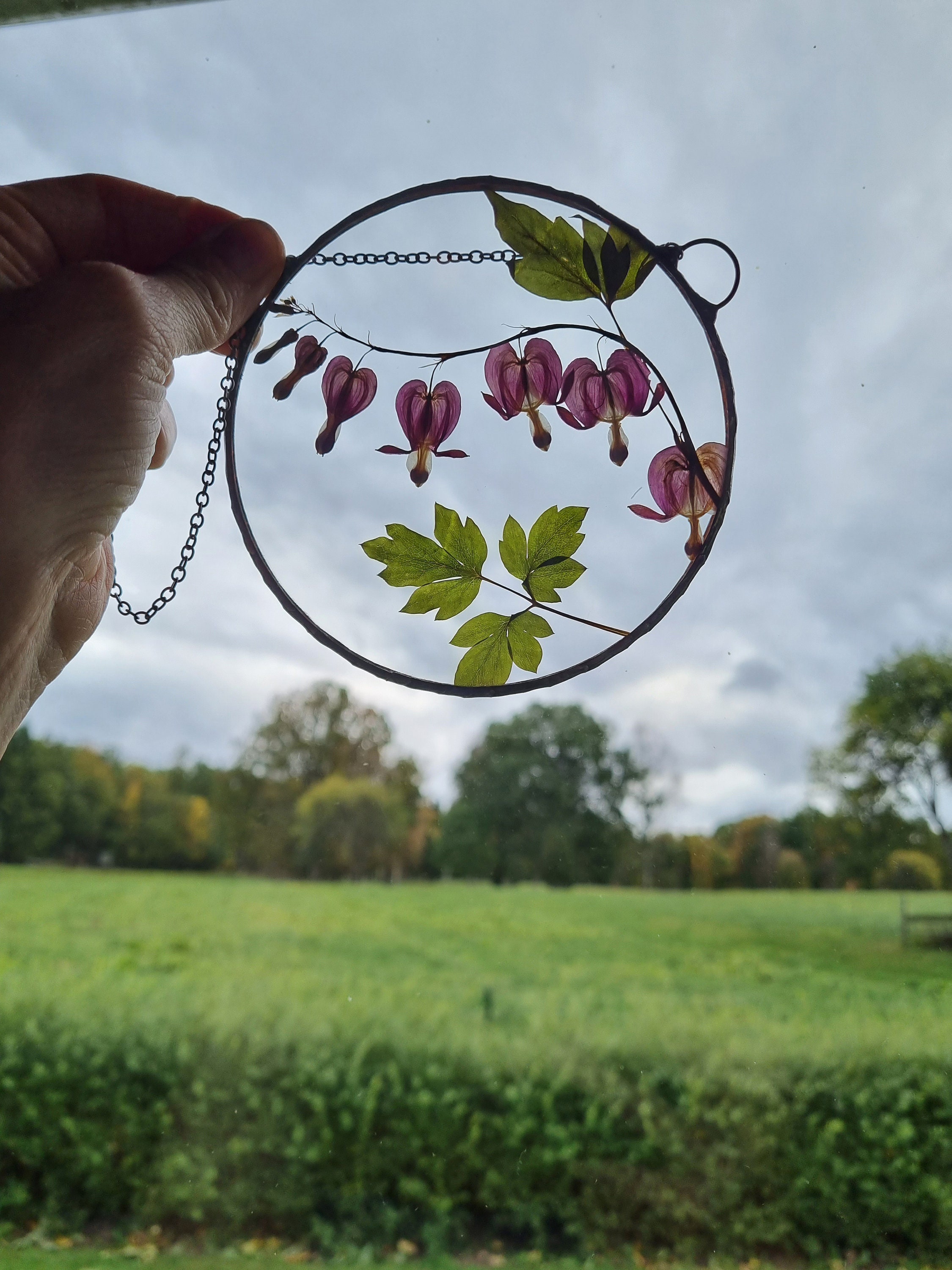 Bleeding Heart Frame, Terrarium Decor. A Piece of Sweden. - Etsy
