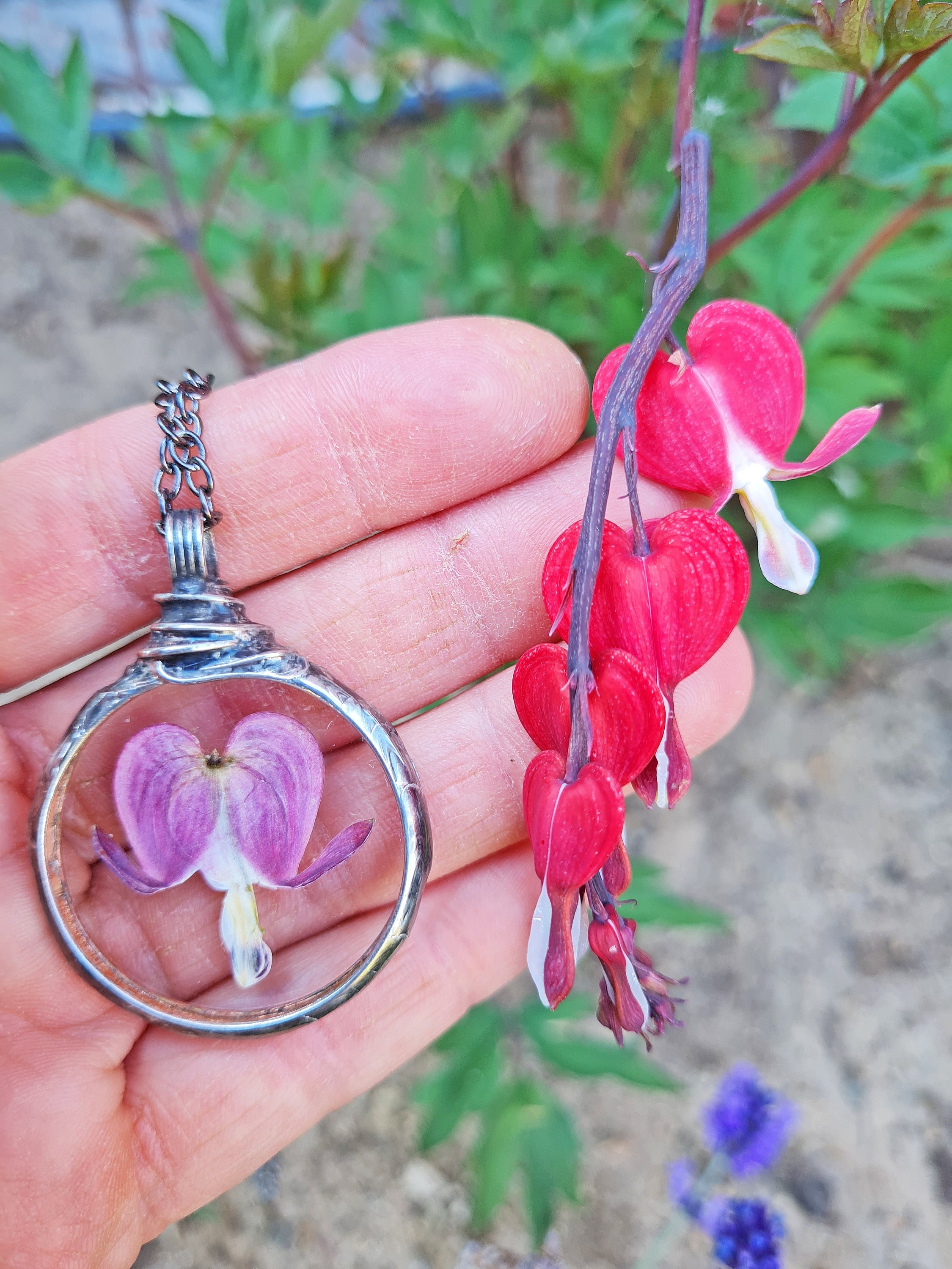 Bleeding Heart Flower Necklace: Pressed Flower Terrarium Jewelry - Etsy