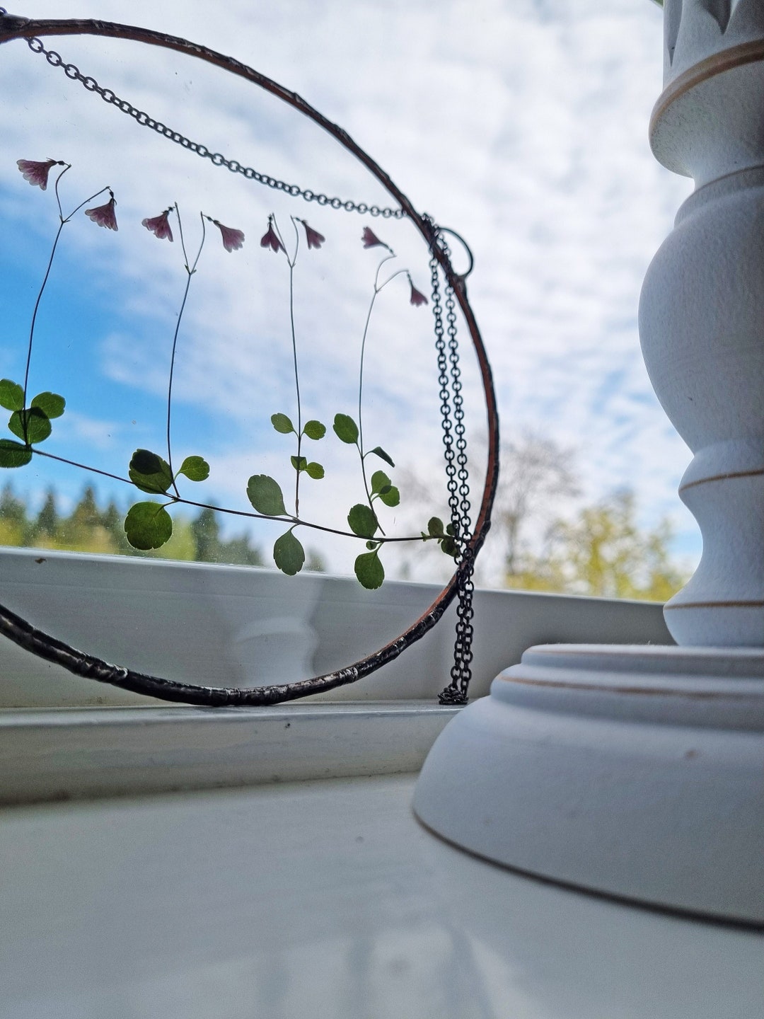 Linnea, Twinflower Wall Hanging, Terrarium Decor. Linnaea Borealis ...