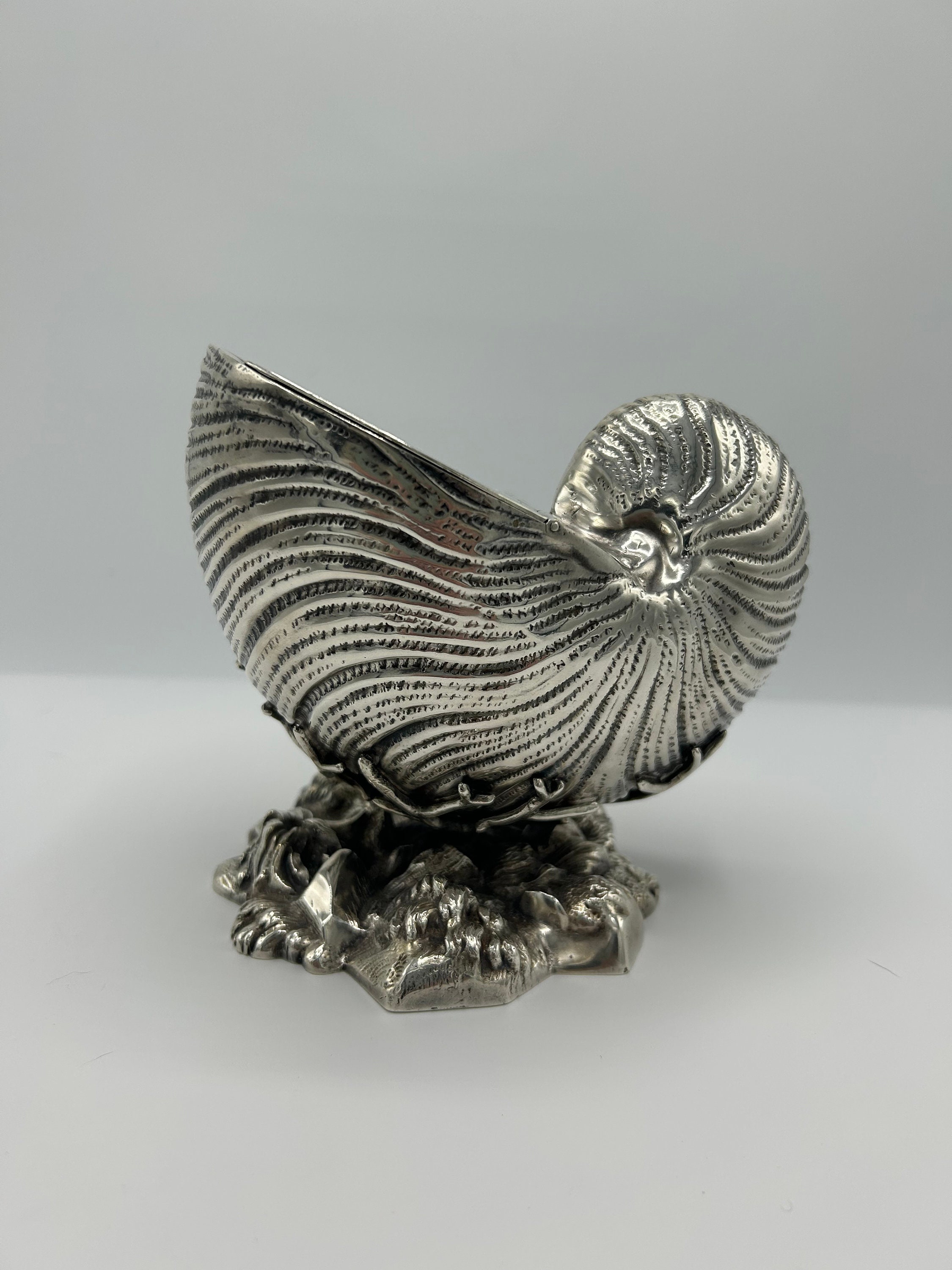 Victorian Era Silver Plate Nautilus Shell Spoon Warmer - Etsy