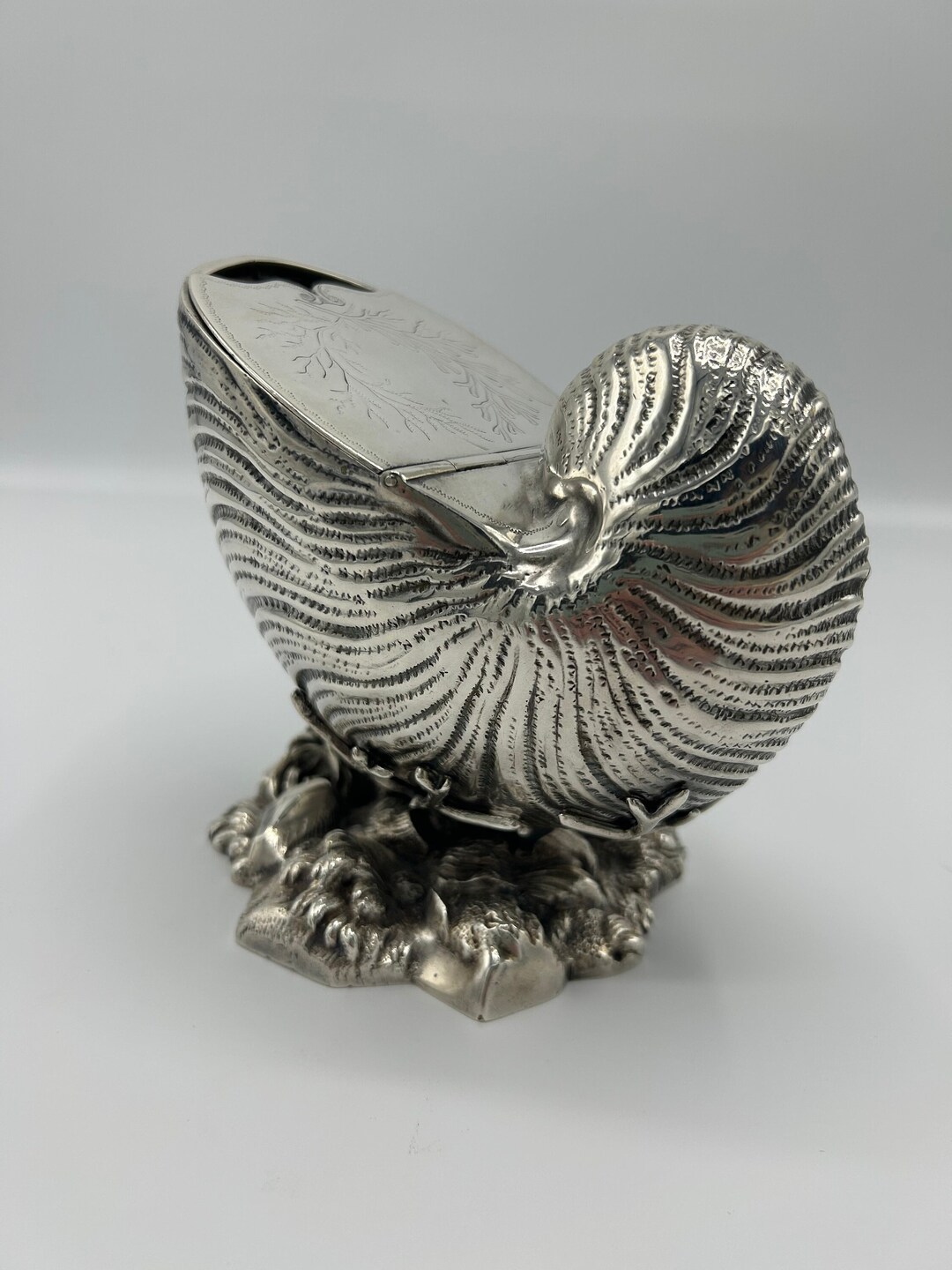 Victorian Era Silver Plate Nautilus Shell Spoon Warmer - Etsy