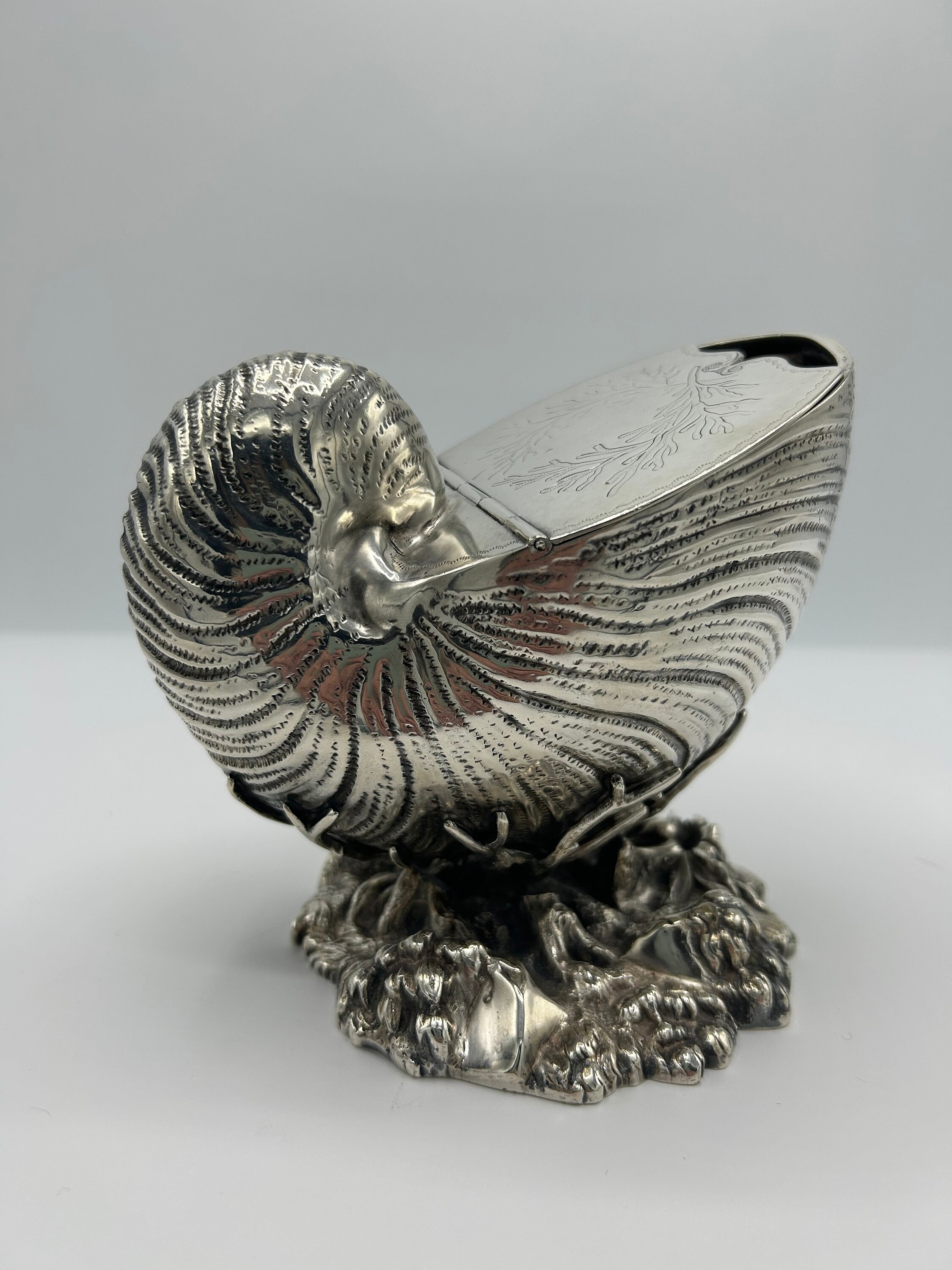 Victorian Era Silver Plate Nautilus Shell Spoon Warmer - Etsy