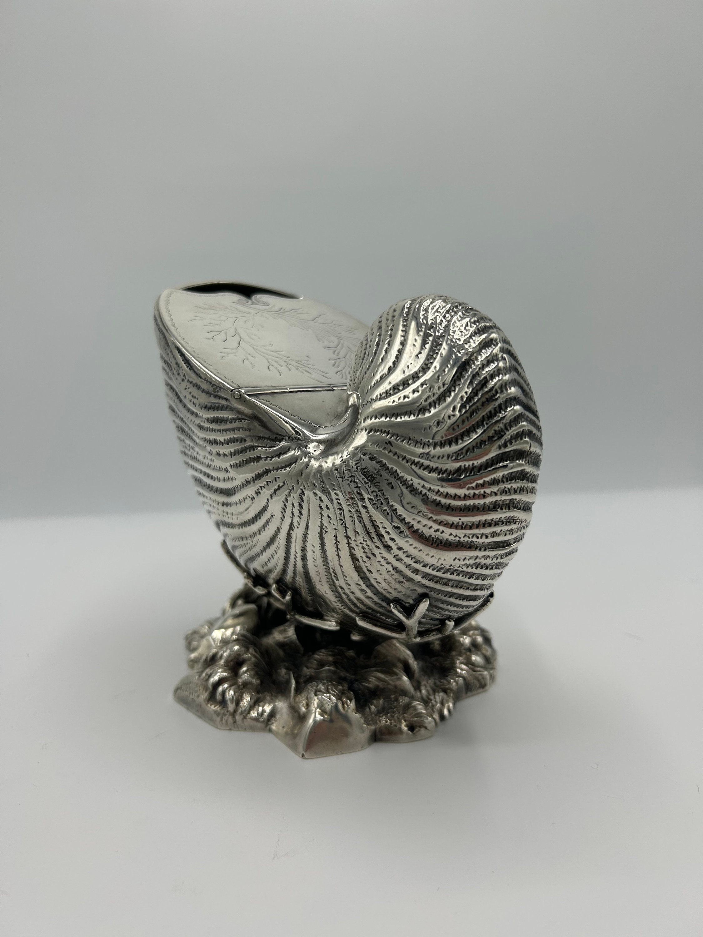 Victorian Era Silver Plate Nautilus Shell Spoon Warmer - Etsy