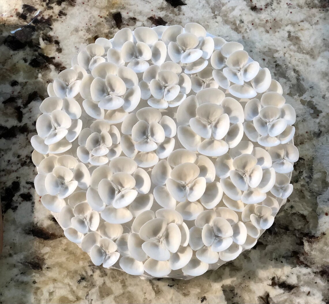 Shell Art - Etsy