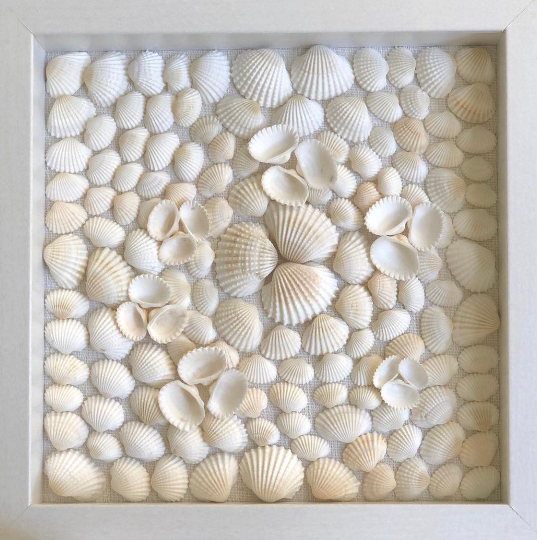 Shell Art. Real Shells. Shadow Box Frame. - Etsy