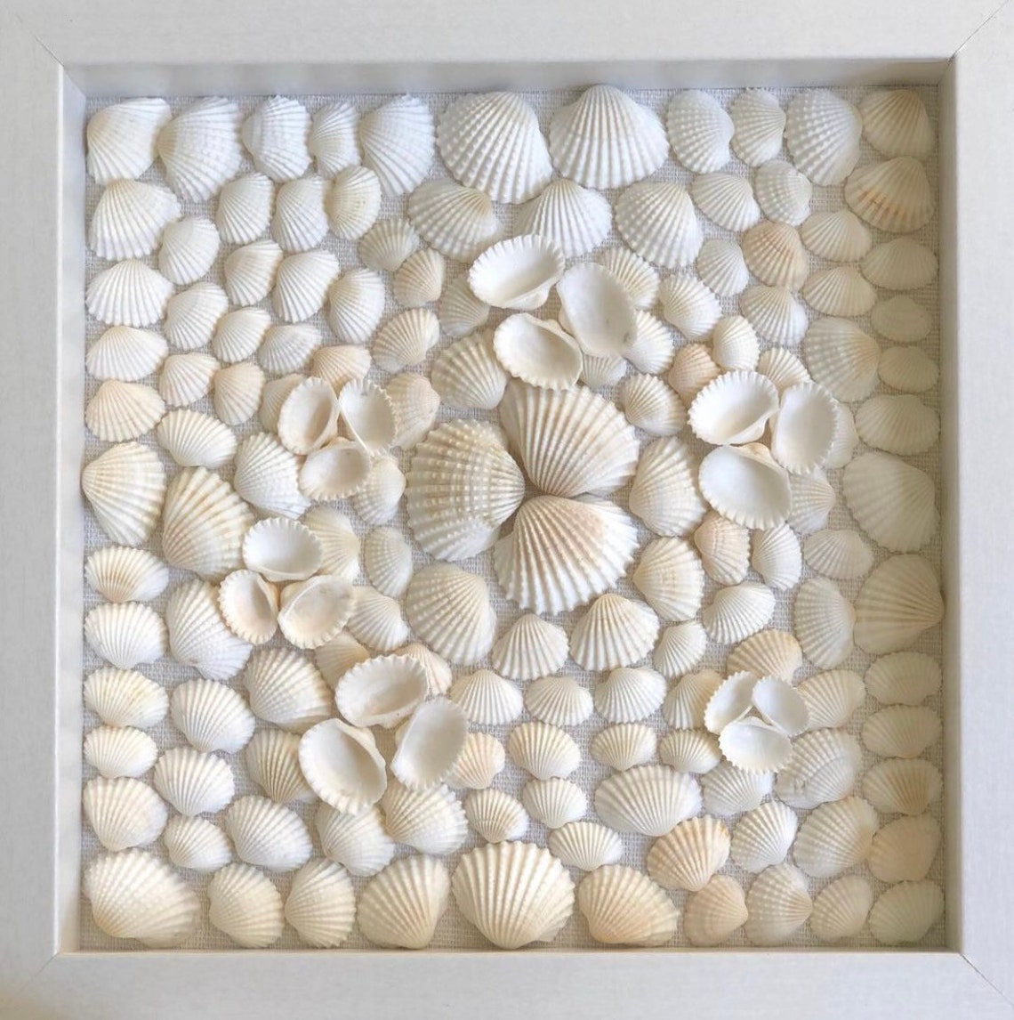 Shell Art. Real Shells. Shadow Box Frame. - Etsy