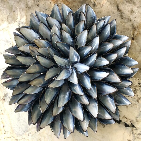 Mussel Shells - Etsy