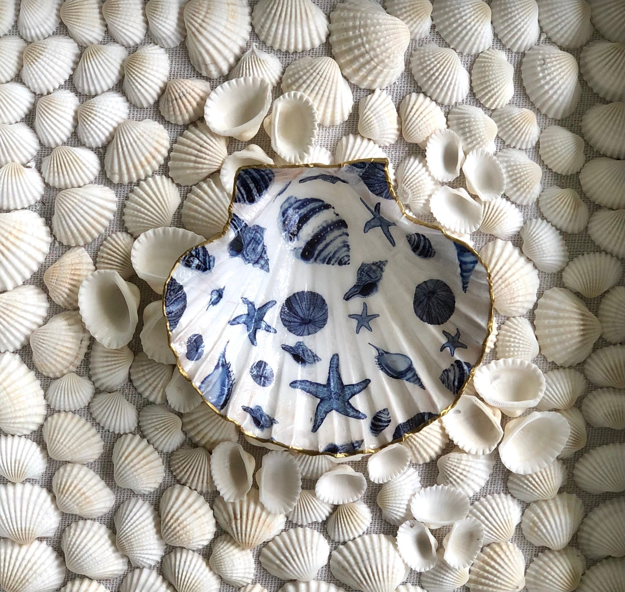 Pineapple or Sealife Decoupaged Scallop Shell. - Etsy