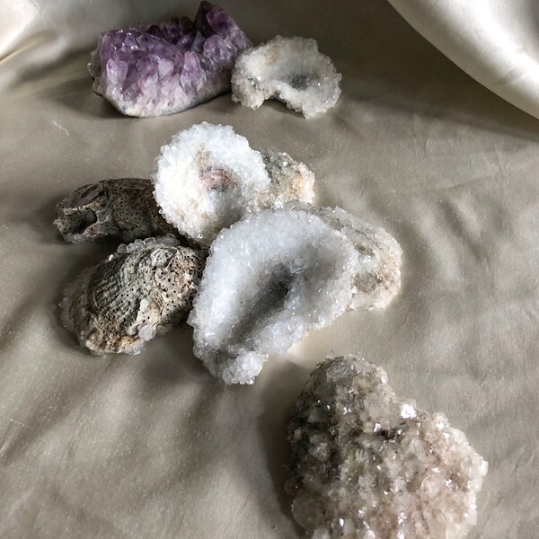 Crystal Shell - Etsy