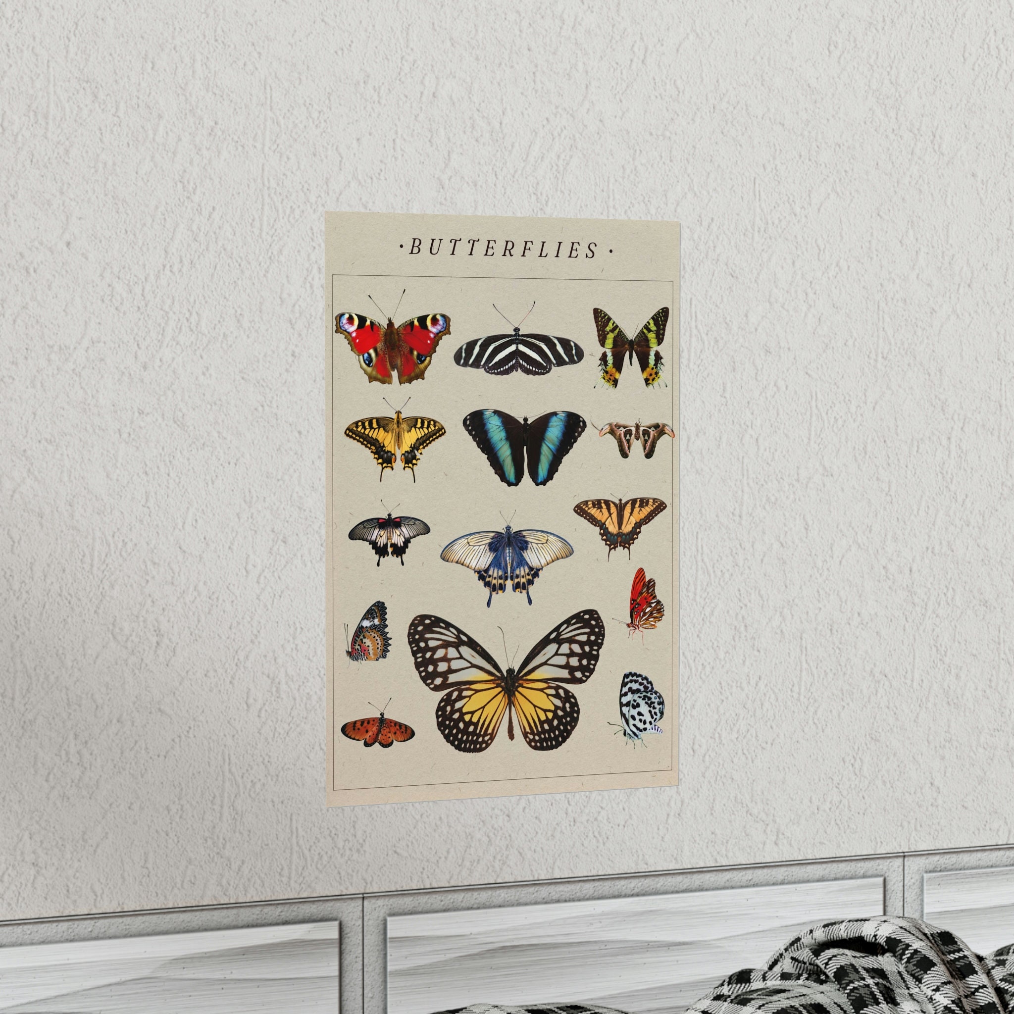 Butterfly Poster Print - Etsy