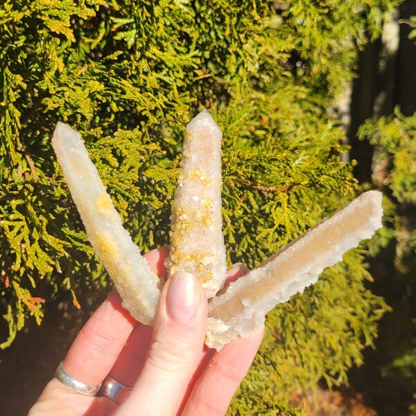 Witches Finger - Etsy