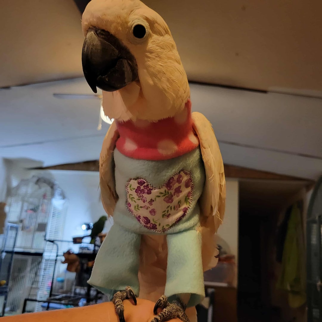 Custom Made Fleece Clothing for Cockatoos and Macaws. Anti-plucking ...