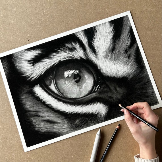 Tiger Eyes Pencil Drawing