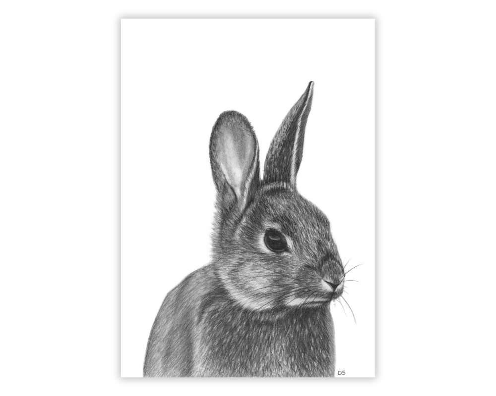 Bunny Print Art Print Bunny Art Print Bunny Drawing Print Nursery Wall ...