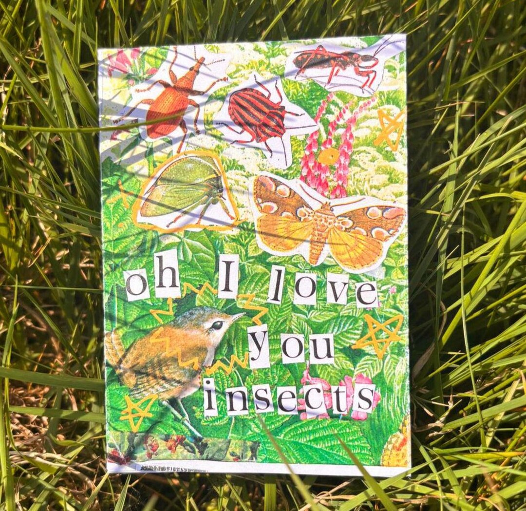 Fanzine - "Oh, te amo, insectos" - Mini fanzine - Etsy España