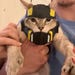 Helldivers Cat Helmet (FILES) - Etsy