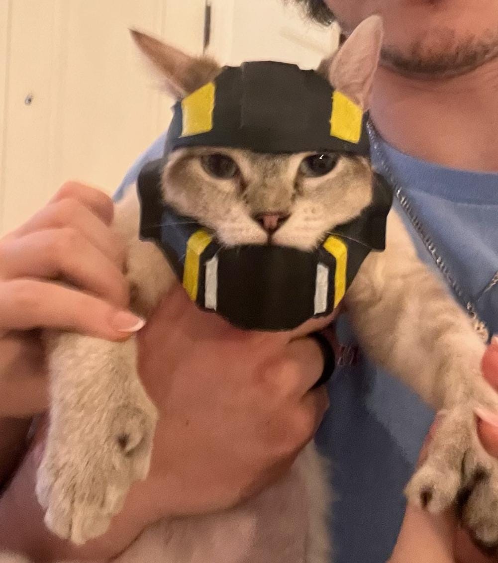 Helldivers Cat Helmet (FILES) - Etsy