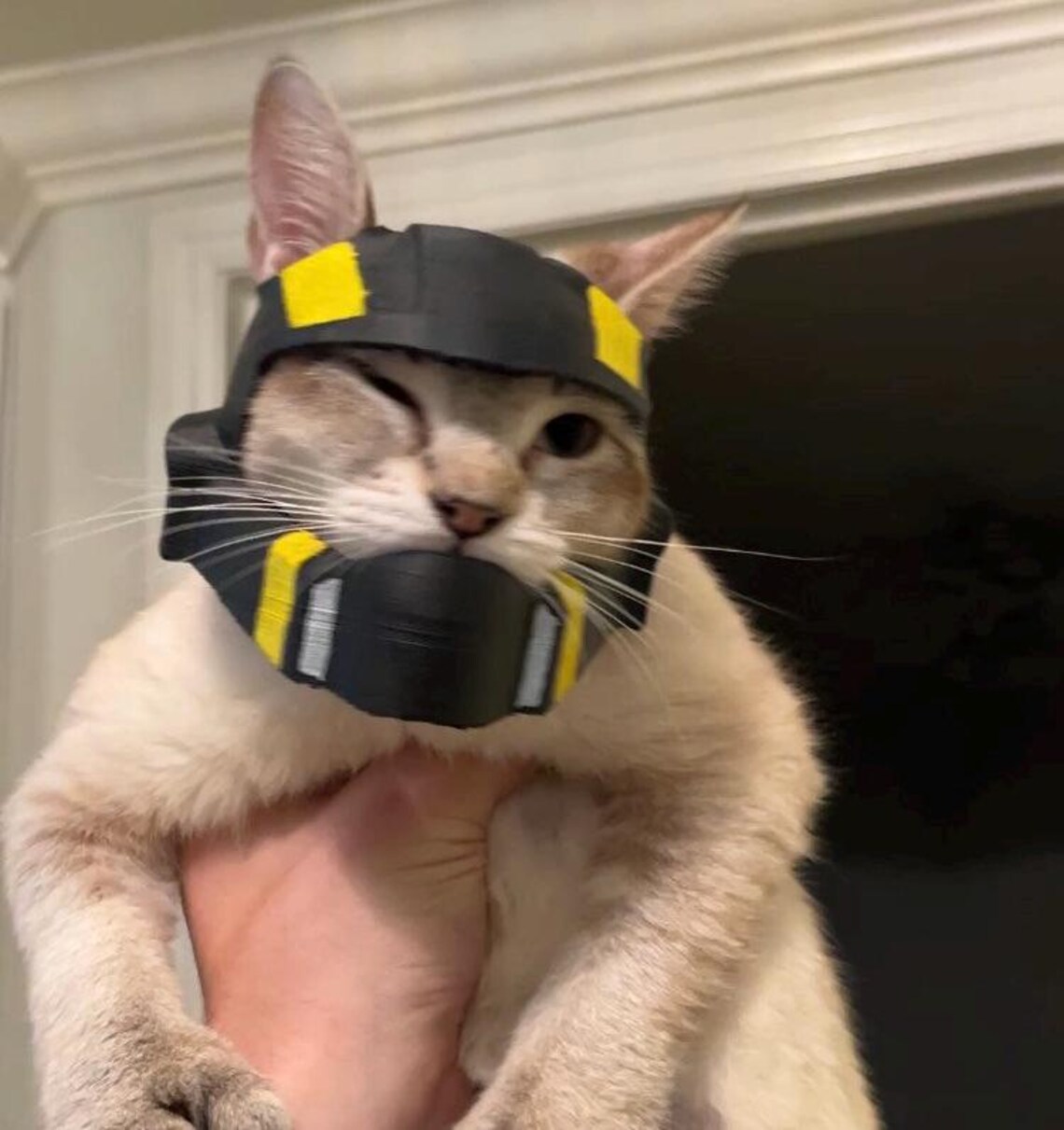 Helldivers Cat Helmet (FILES) - Etsy