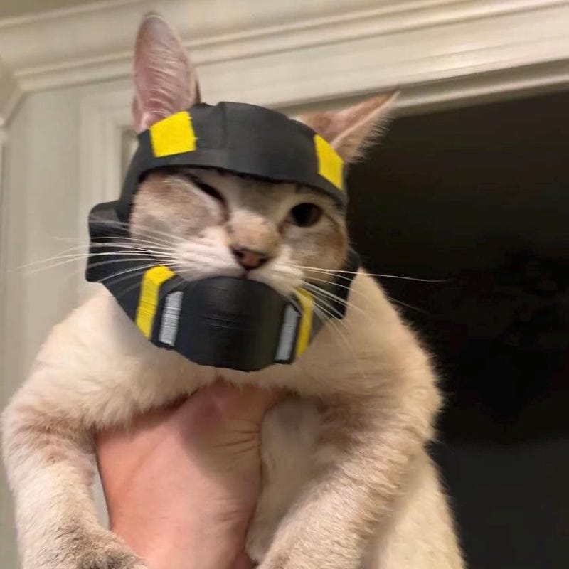 Cat Helmets 3d Print - Etsy