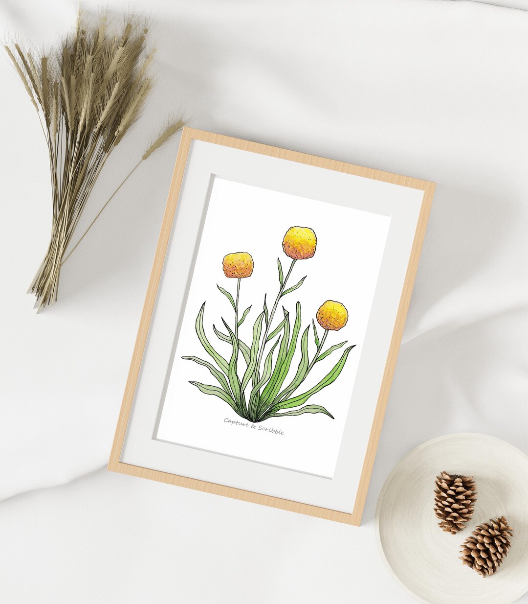Watercolour Australian Native Billy Buttons Print, Yellow Wildflowers ...