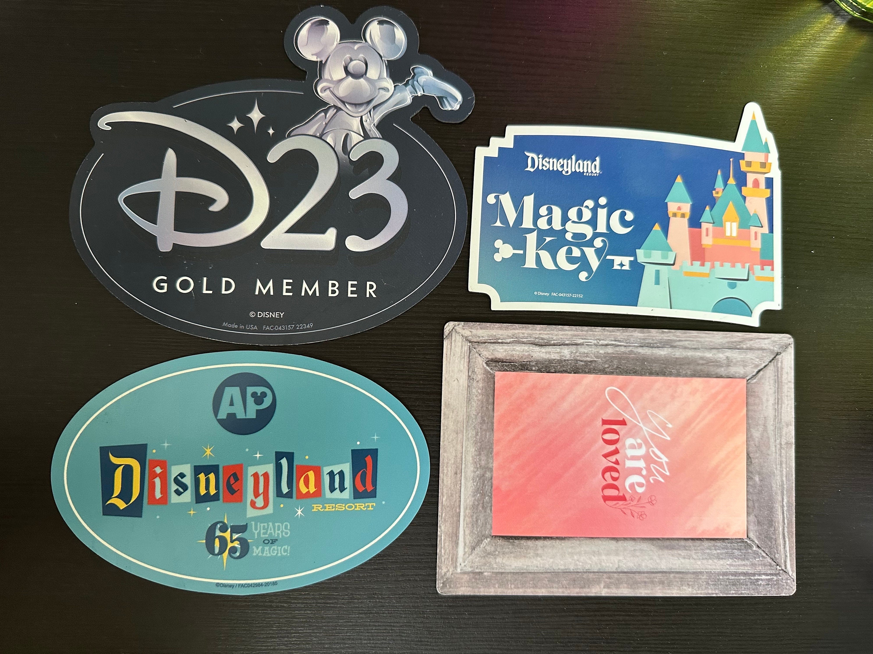 Disneyland Magnets D23 Gold Member Disneyland 65 Years of Magic Magic ...