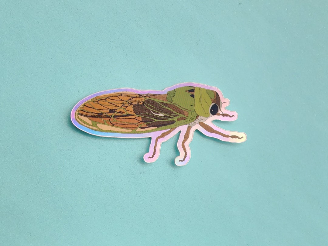 Cicada Sticker: Glossy Holo Vinyl - Etsy