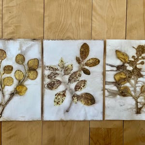 Eco-printed Watercolor Paper, Natural Plant Dyed Prints for Journaling ...