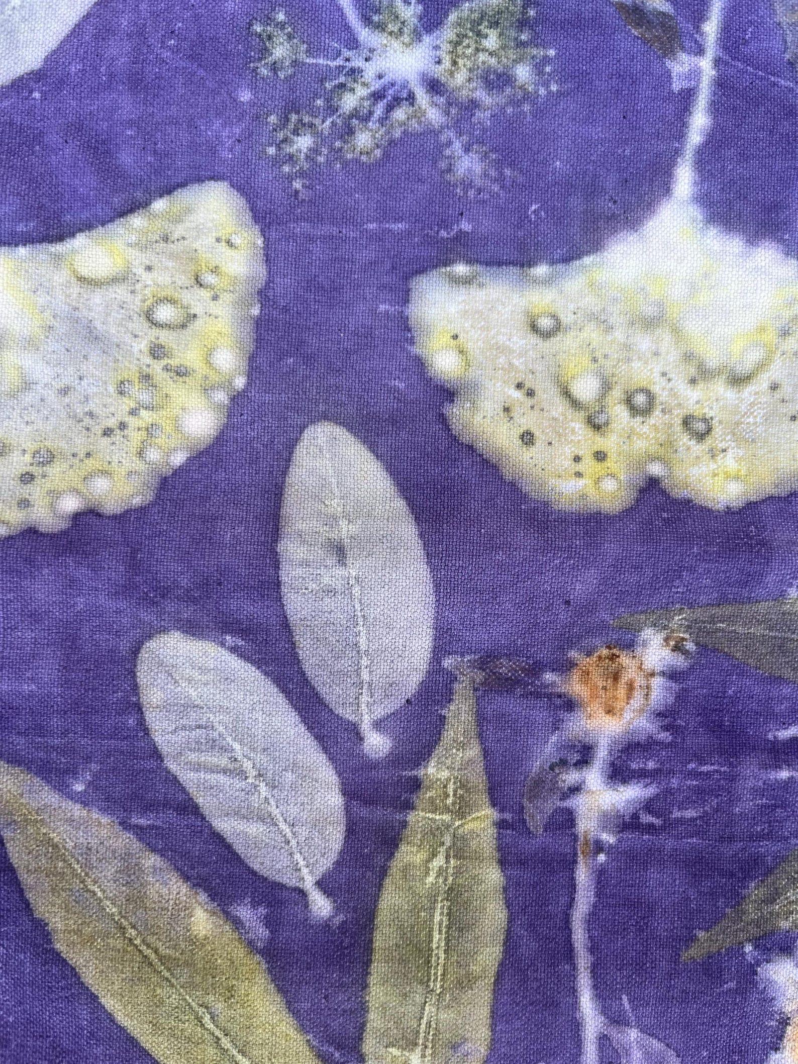 Eco Print Fabric, Botanical Print, Cotton Panel, Leaf and Flower Print ...