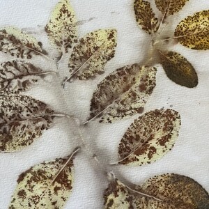 Eco-printed Watercolor Paper, Natural Plant Dyed Prints for Journaling ...
