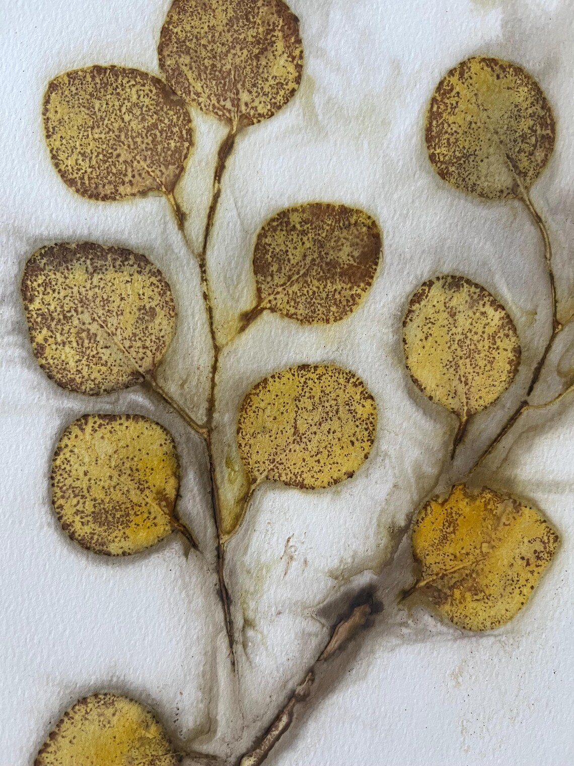 Eco-printed Watercolor Paper, Natural Plant Dyed Prints for Journaling ...