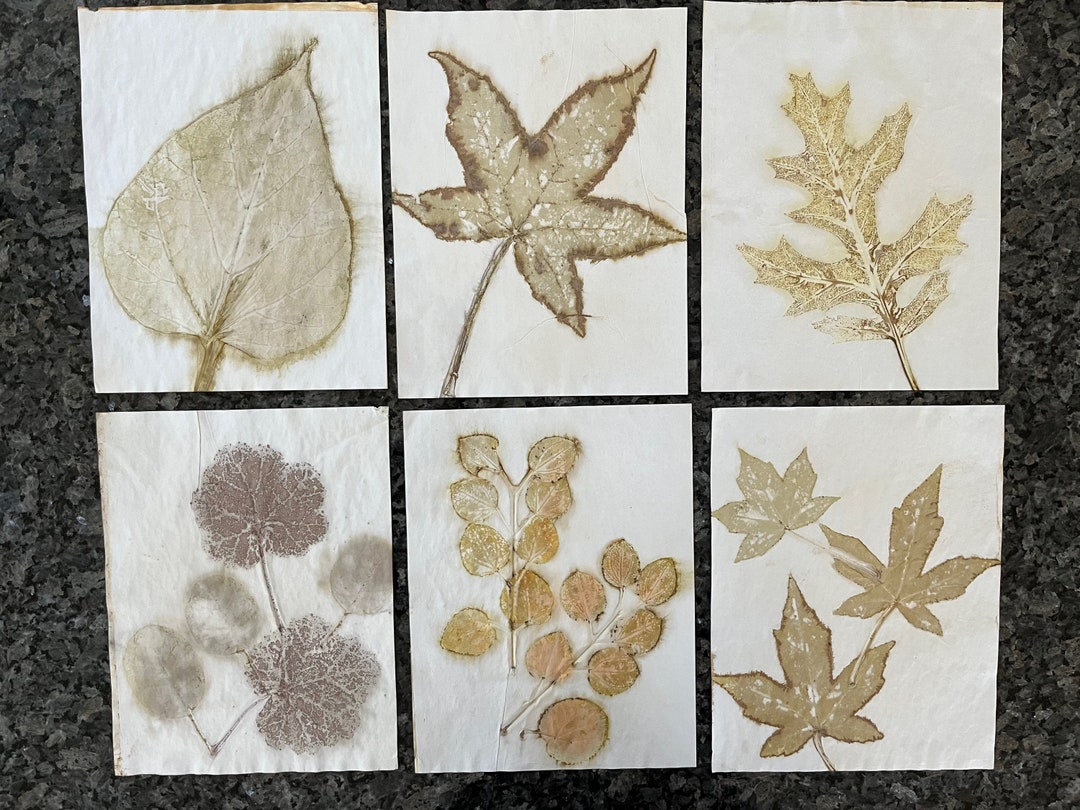 Eco-printed Botanical Paper, Art Paper, Natural Plant Dyed Prints for ...