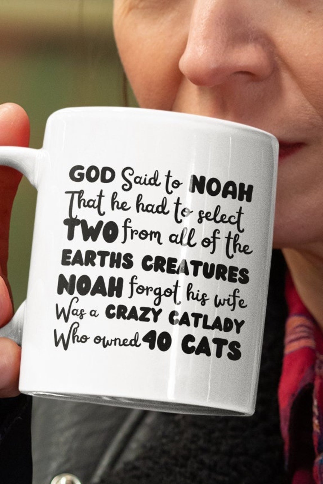 Crazy Christian Cat Lady Mug,cats on the Ark,cat Lady Wife,christian ...