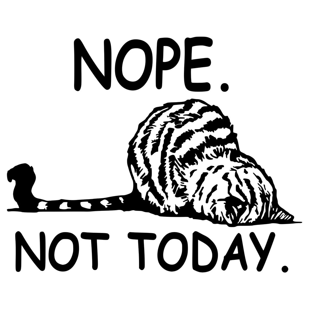 Nope Cat Vinyl Decal - Etsy