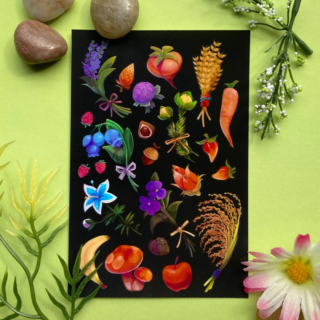 Hyrule Flora 4x6 Postcard Print - Etsy