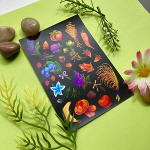 Hyrule Flora 4x6 Postcard Print - Etsy