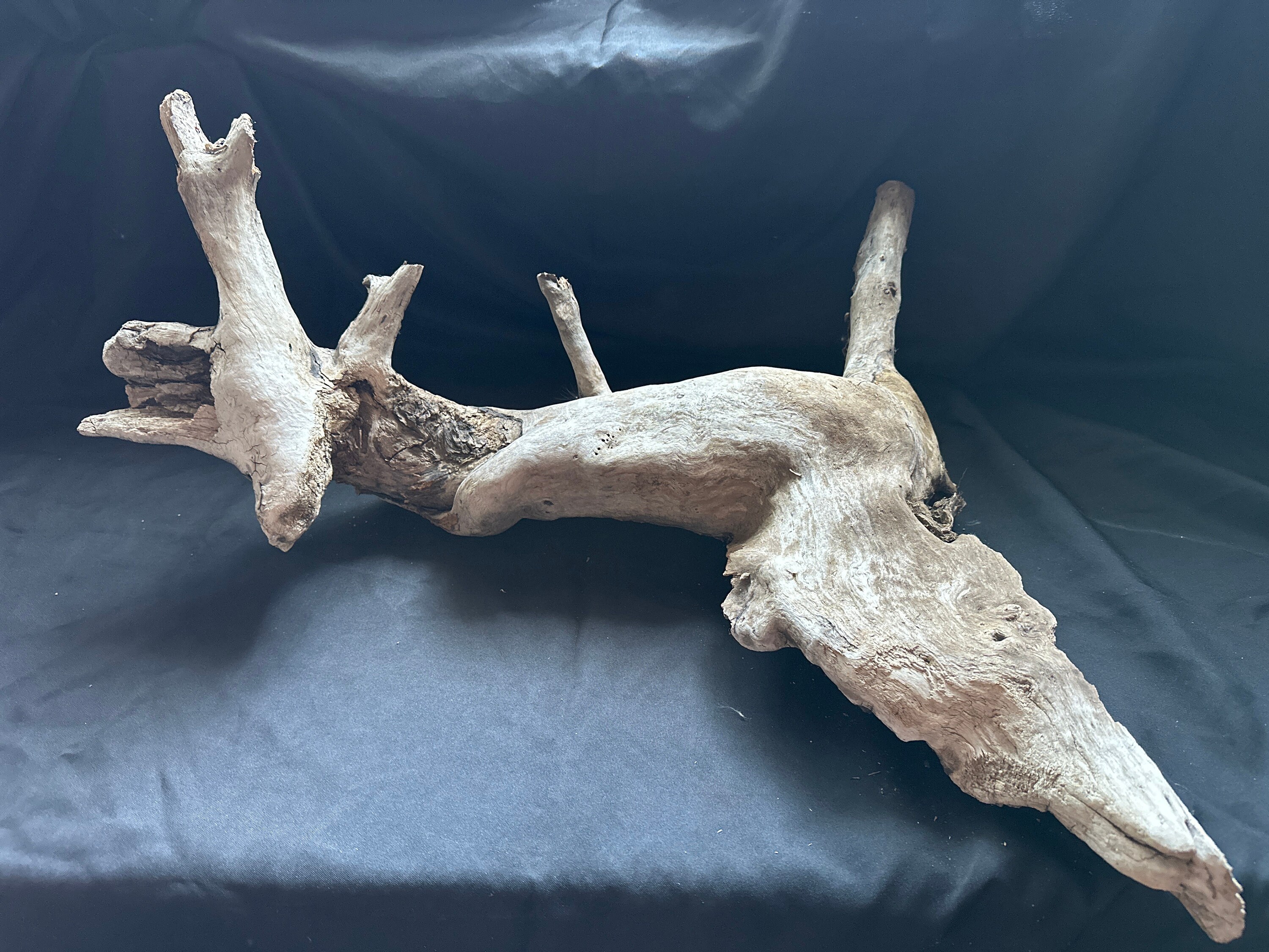 Driftwood Root. Lightweight. Natural. - Etsy