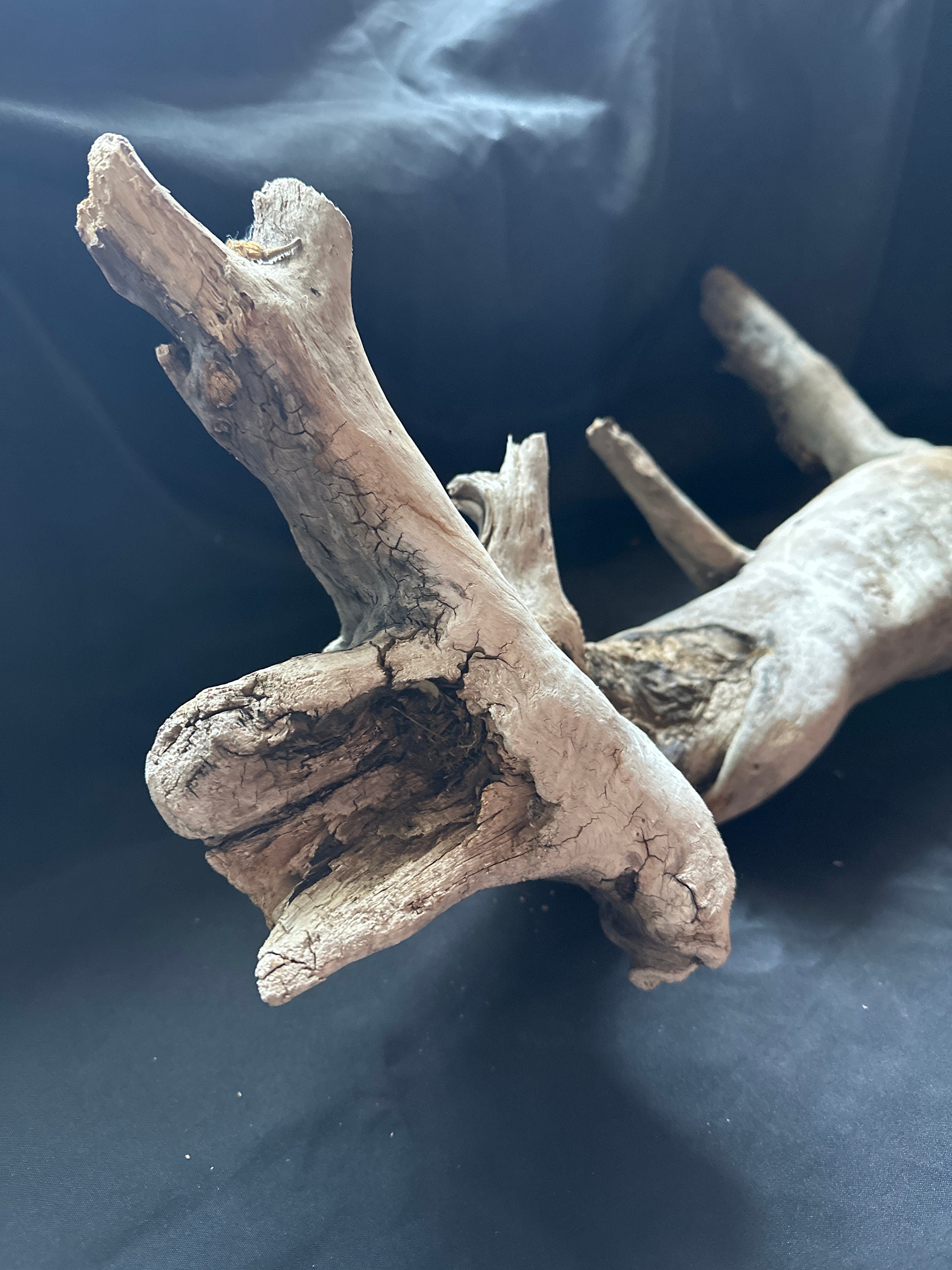 Driftwood Root. Lightweight. Natural. - Etsy