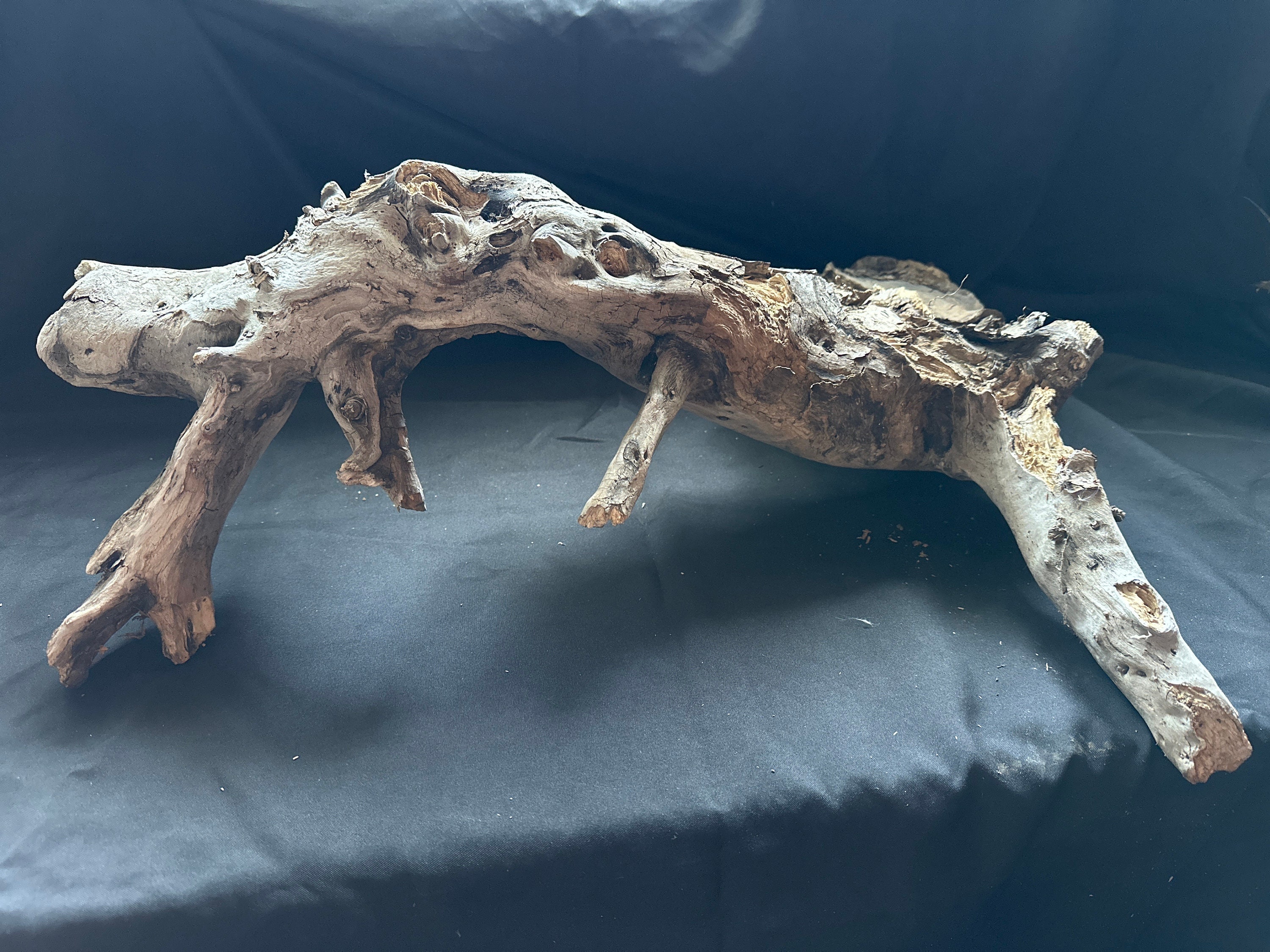 Driftwood Root. Lightweight. Natural. - Etsy