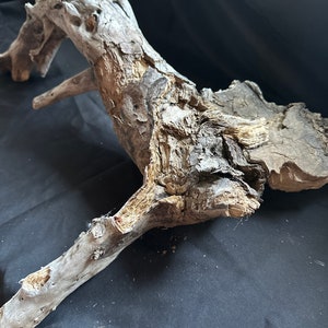Driftwood Root. Lightweight. Natural. - Etsy