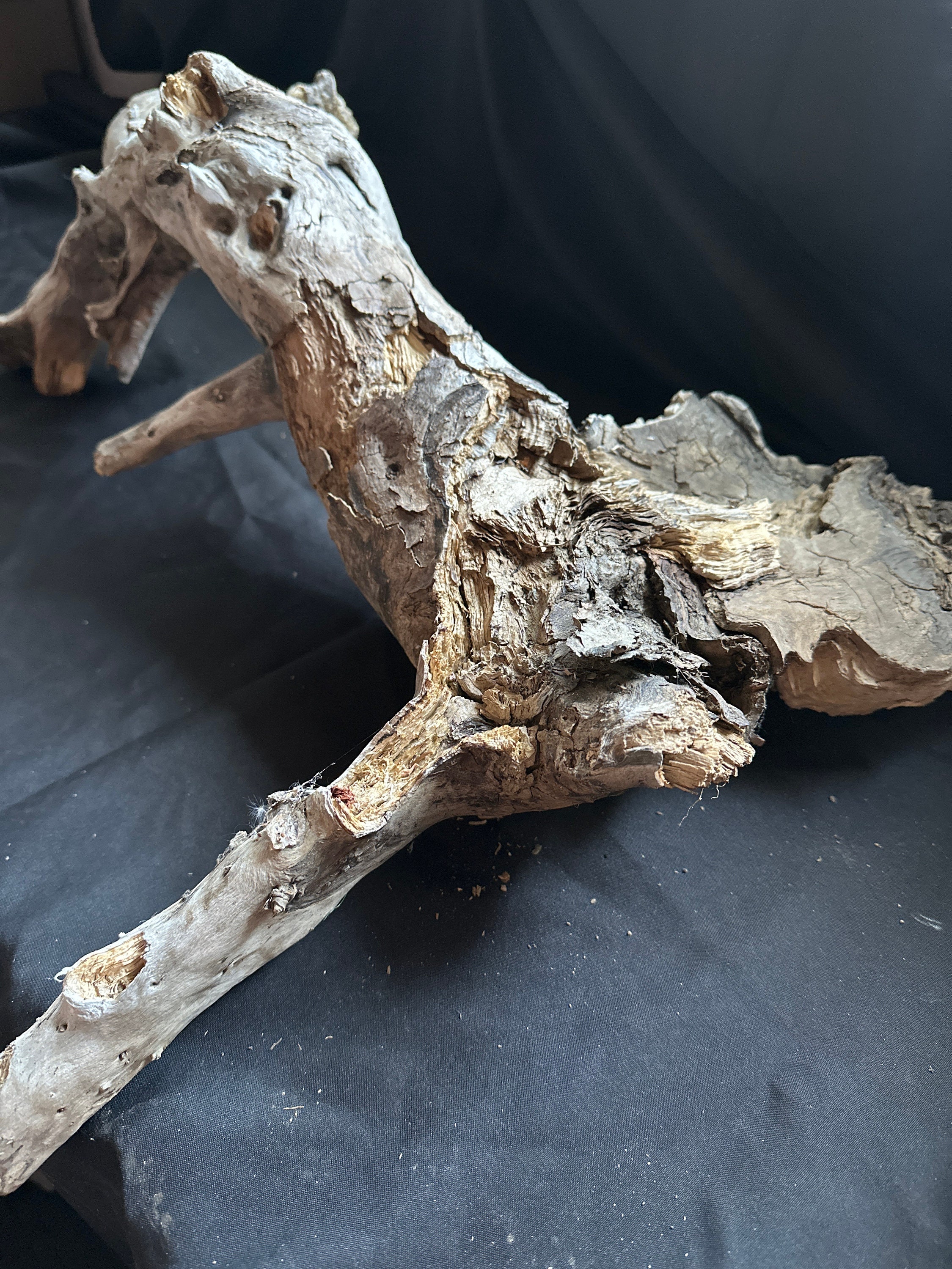 Driftwood Root. Lightweight. Natural. - Etsy