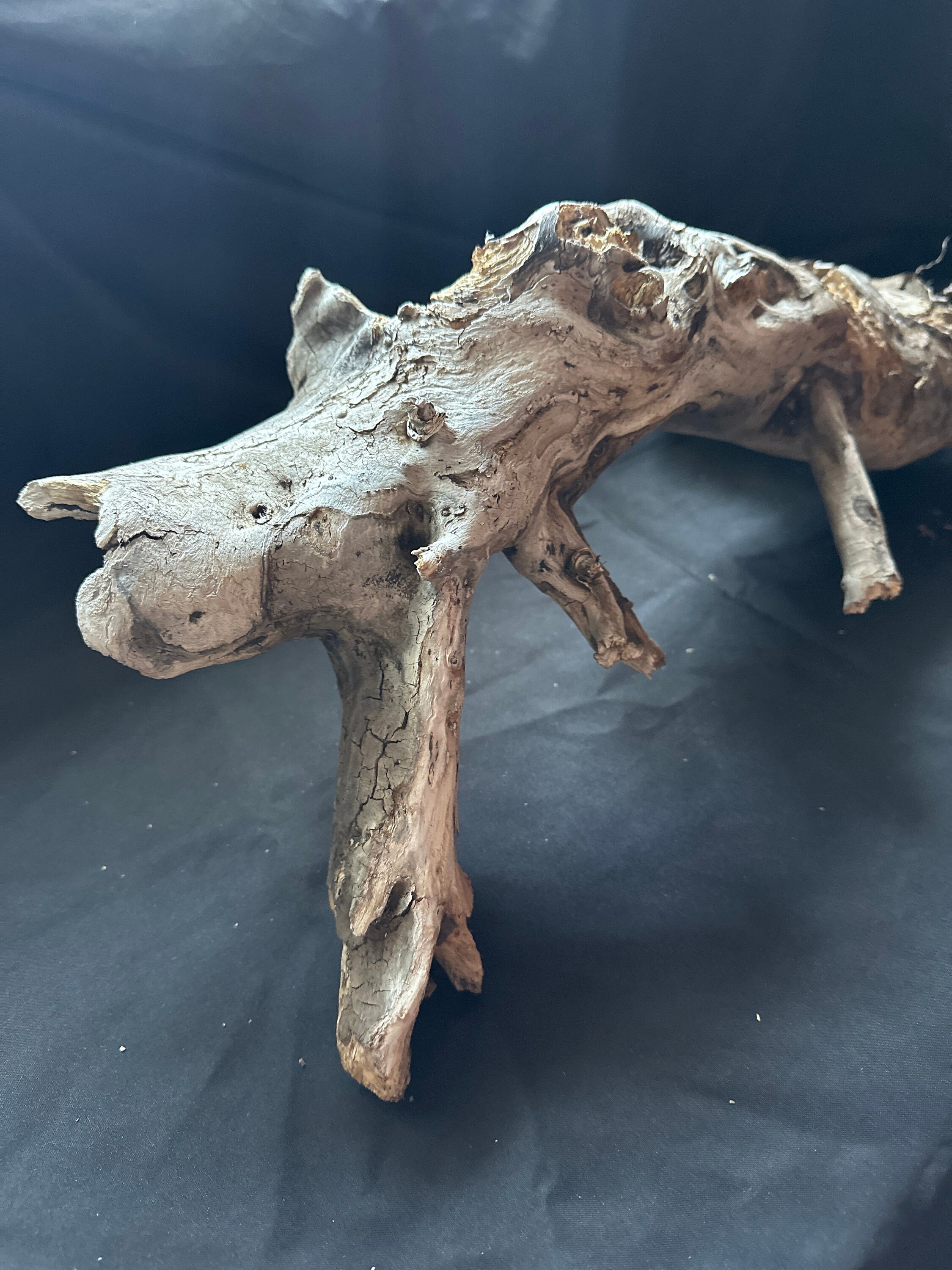 Driftwood Root. Lightweight. Natural. - Etsy