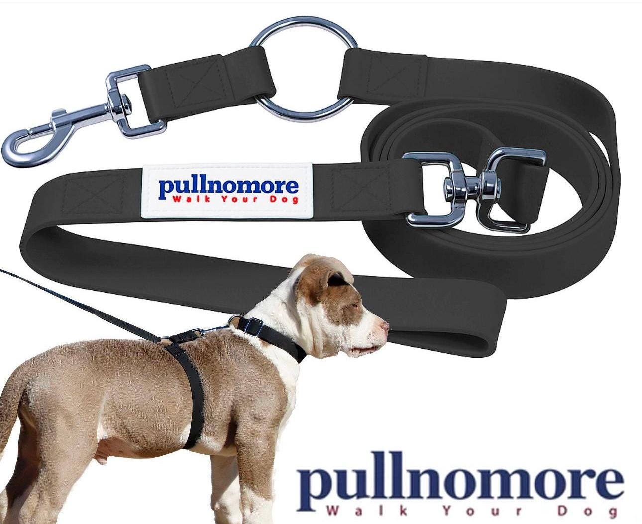 Stop Large Dogs From Pulling! (dogs Over 30 Lbs) Leash and Collar Set ...