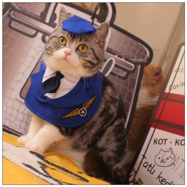 Flight Attendant Cat Costume - Etsy